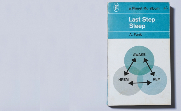 laststepsleep - Truants